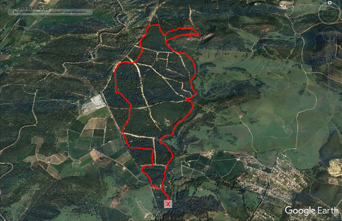 Los Pinsapos - Senderismo y Naturaleza: Recorrido circular por el ...