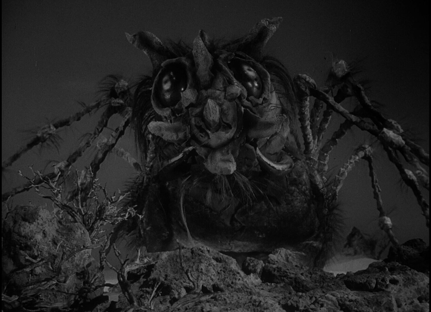 Realm Of Retro : Lost In Space Monster Spider