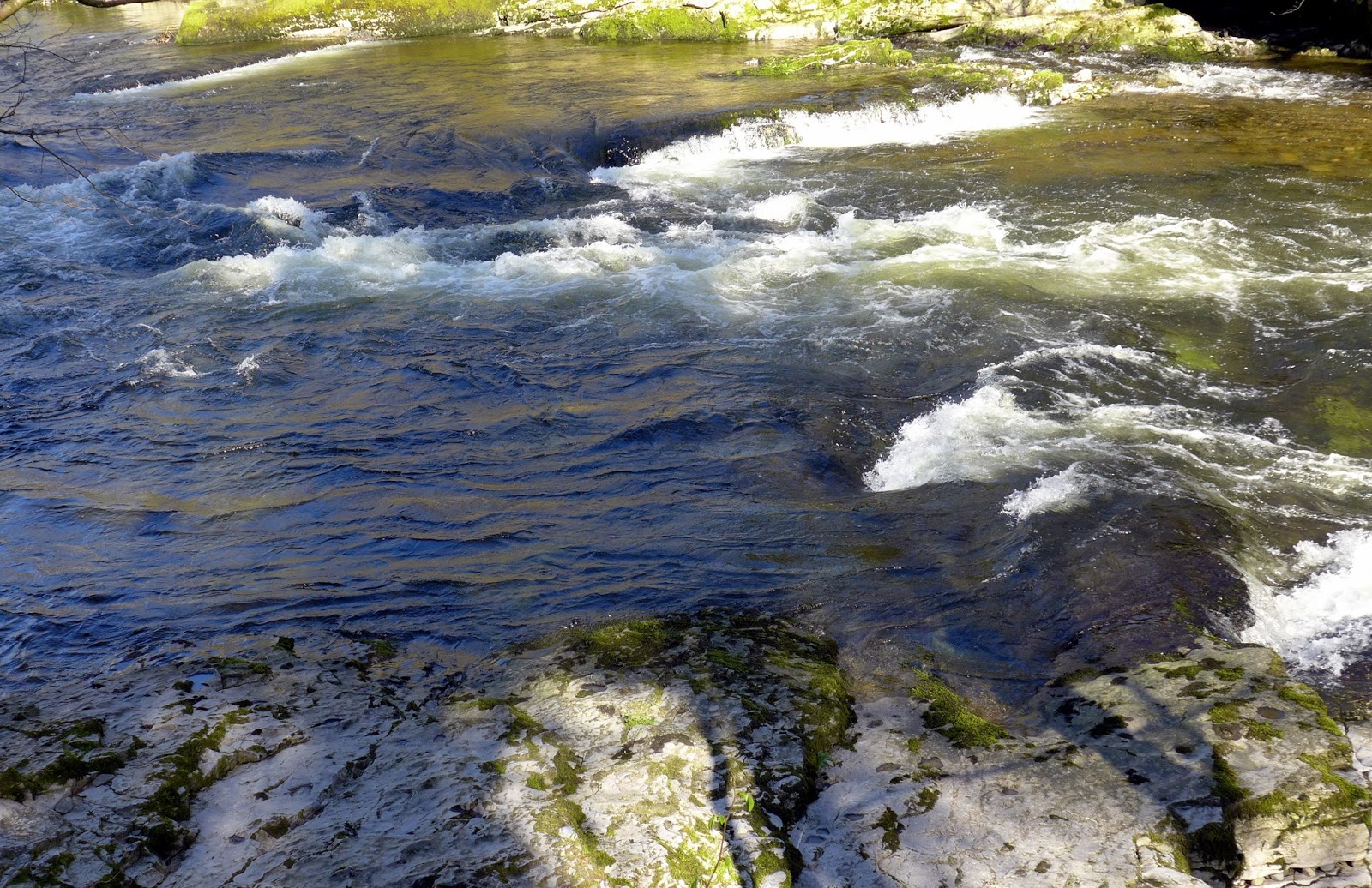 Moors and More: The River Kent at Sedgwick