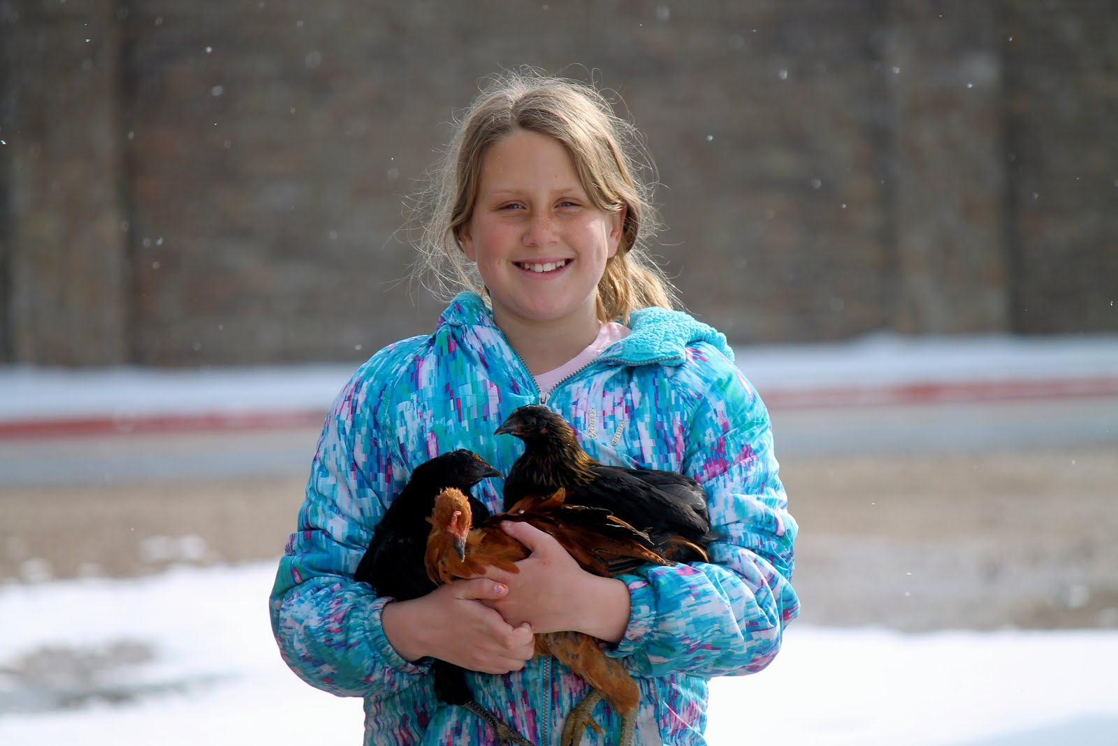 Roos and Hens : Chickens Free Therapy and Life Lessons