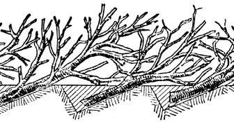 backgroundon: Abatis barrier/York, Montana