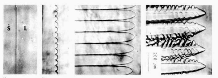 Metallurgy & Material Sciences : Columnar & Dendritic Growth of Nuclei