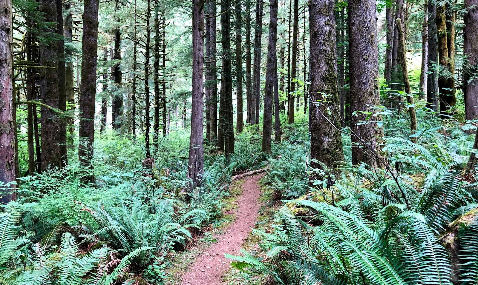 Over the Hill Sisters: Nehalem Falls Campground (OR)