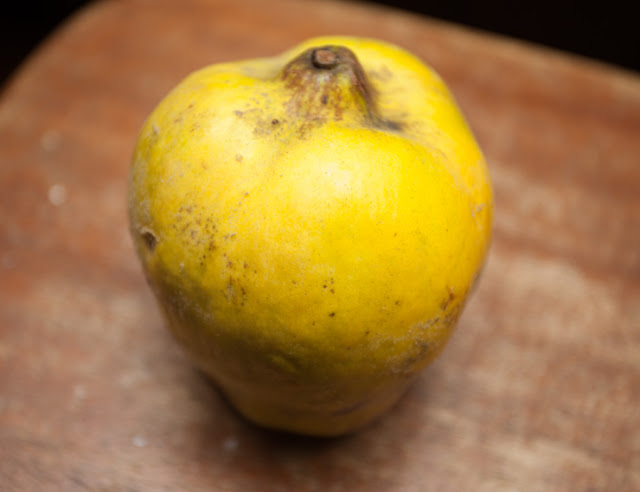 the indolent cook: honey quince tea
