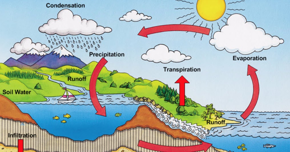 What is a Water Cycle ? Explained