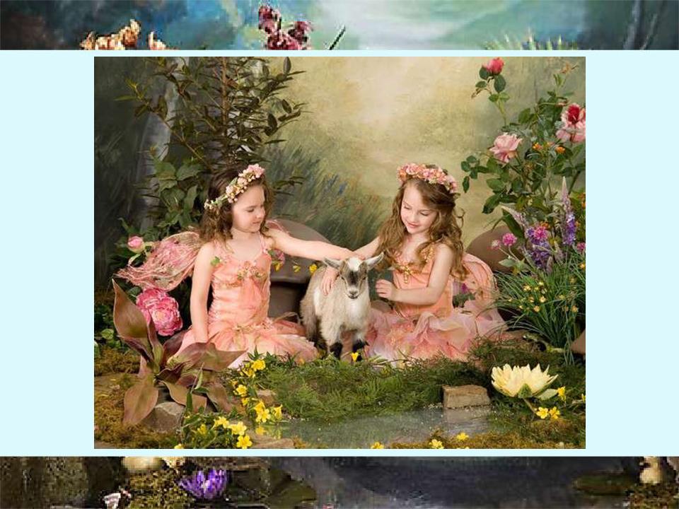 Soloillustratori: Lisa Jane