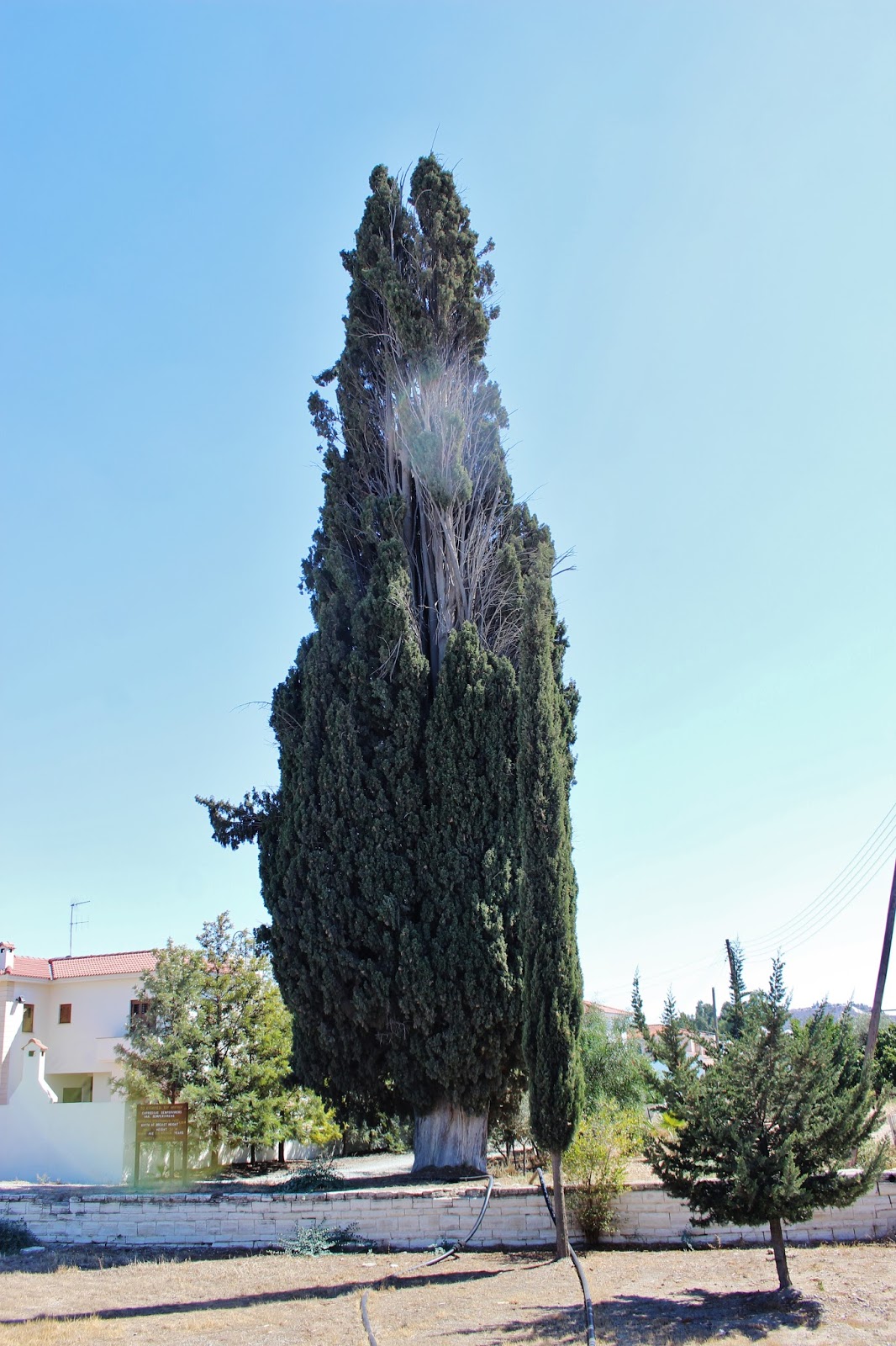 Biodiversity of Cyprus by NGO Protection of the Natural Heritage and ...