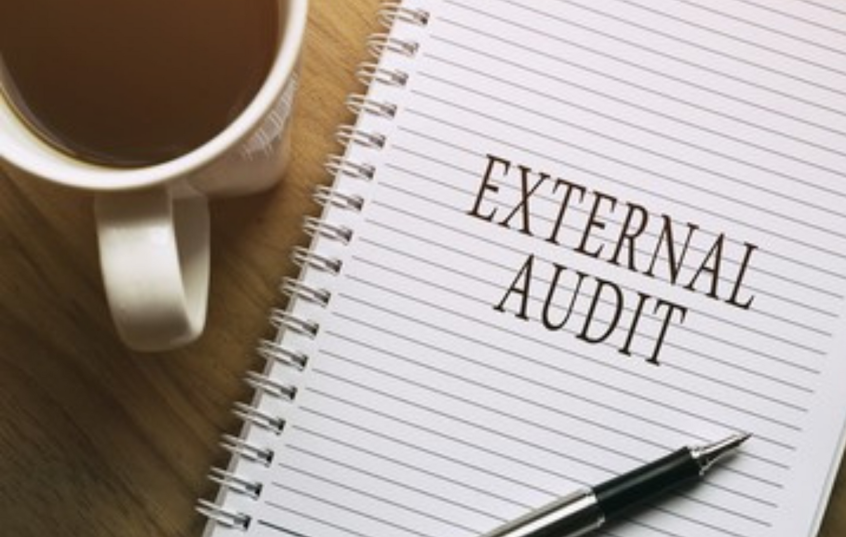 Importance of External Audits