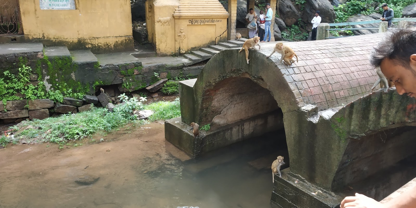Nrusinghanath Temple Images