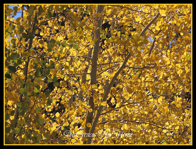 She Graces Her Home In God's Beauty: Our Glorious Fall Colors