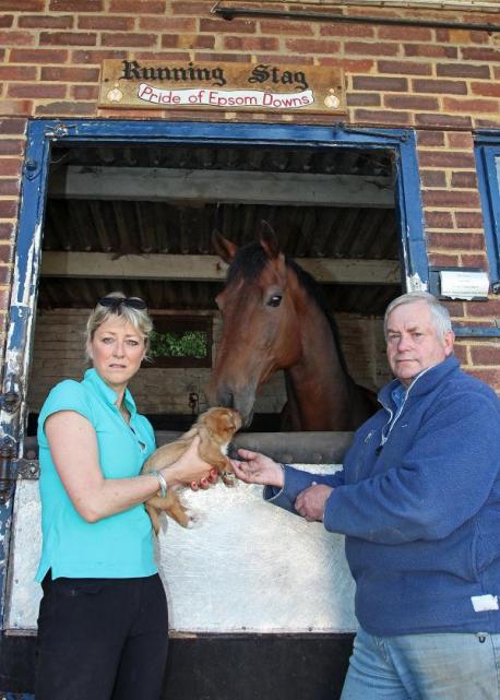 Downs House & Racing Stables, Epsom Downs...