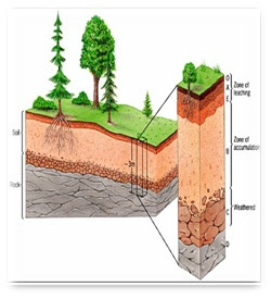 Pengertian Tanah Meliputi Faktor Pembentukan, Proses, Faktor, Komponen ...