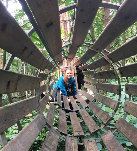 Mummy From The Heart: Go Ape Treetop Challenge in a time of Social ...