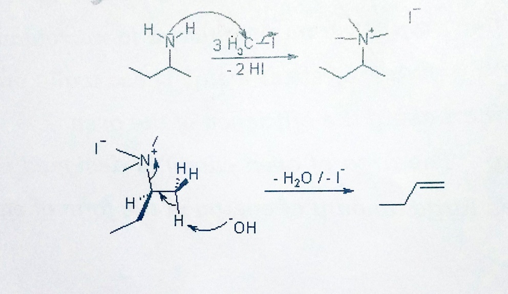 Hofman elimination reaction