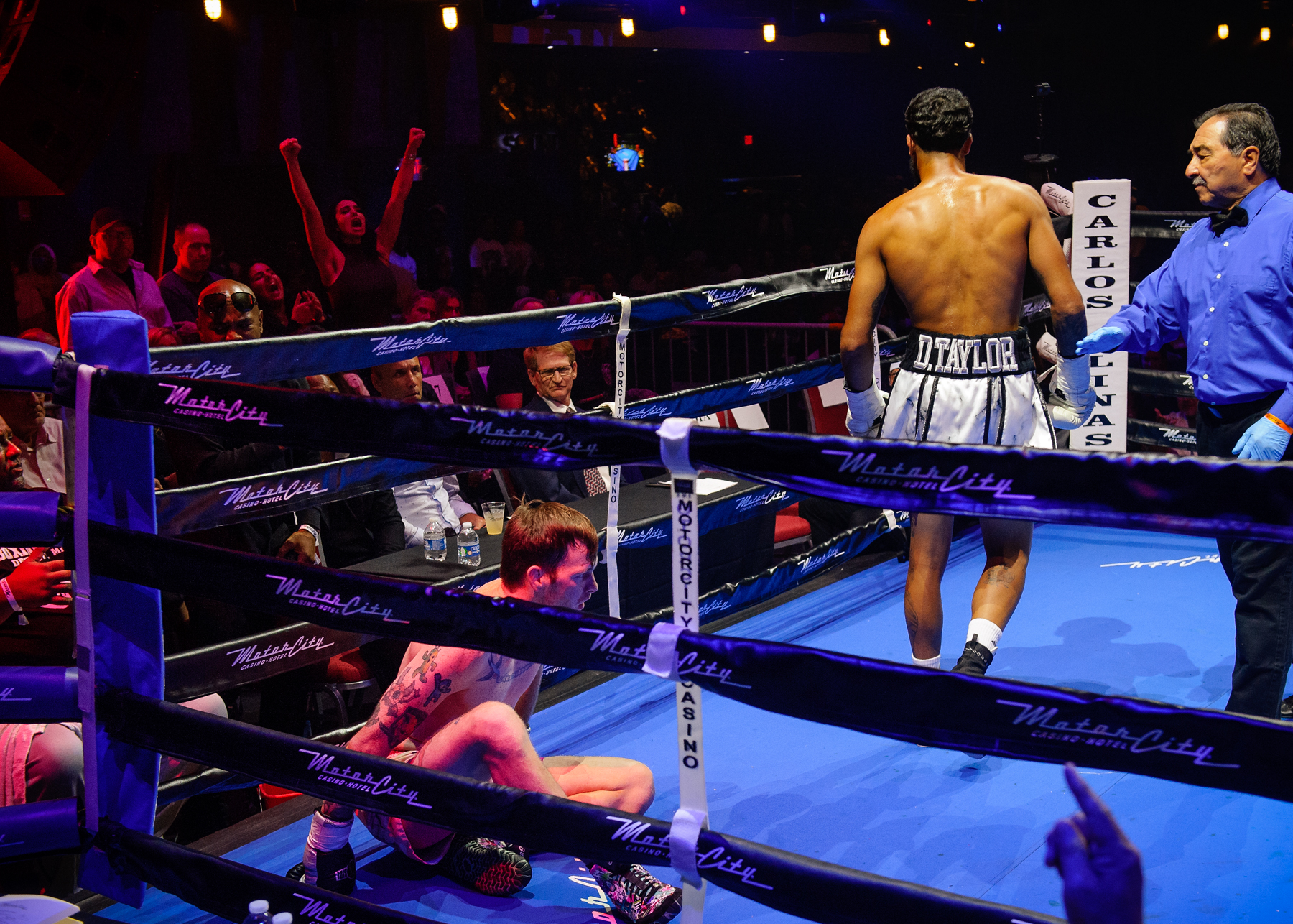 Andrew Potter Photo Blog: 2021