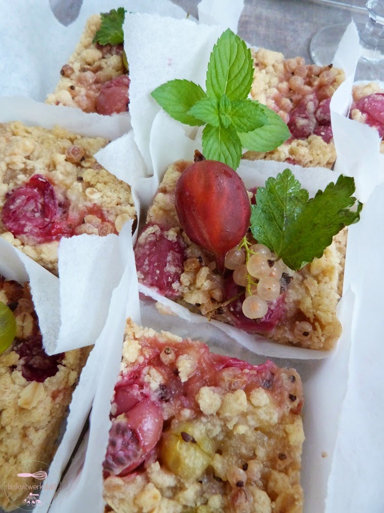 Stachelbeer-Johannisbeer-Streuseltraum - Biskuitwerkstatt