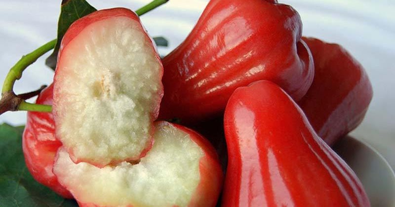 THIS Fruit Detoxifies The Liver, Kills Diabetes, Prevents Breast And ...