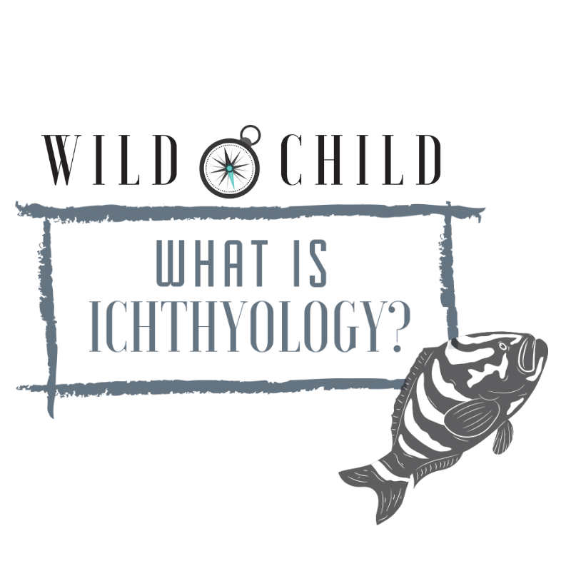 Ichthyology