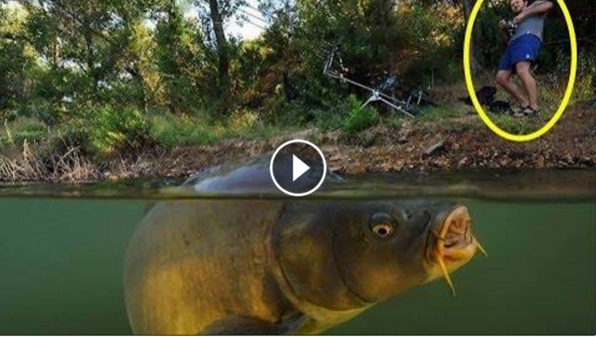 Top 17 Shocking Fishing Moments 2016 (Monster,Fish,Crazy,Catfish,Funny ...