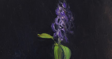 a painting a day: Hyacinth