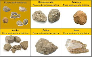 Ciencias de la Naturaleza 2ºA (IES Sierra de Mijas): APUNTES DE CLASE ...
