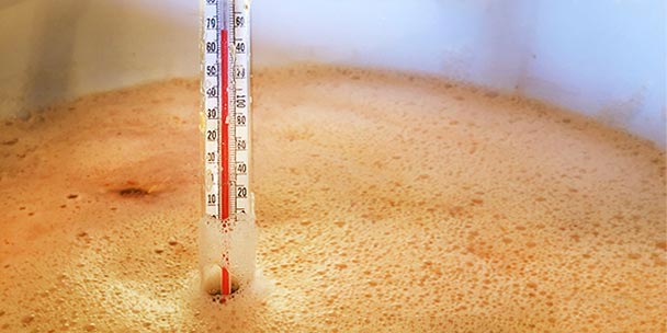 How temperature plays a role in homebrewing | How to Home Brew Beer