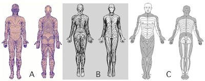 Dermapixel: Líneas invisibles en la piel