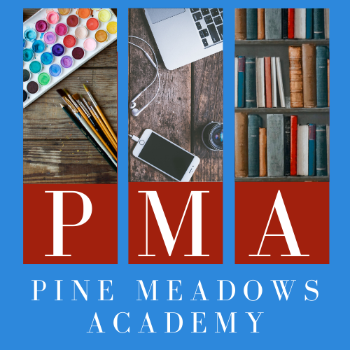 Professional Mentor Associates: PMA Logo