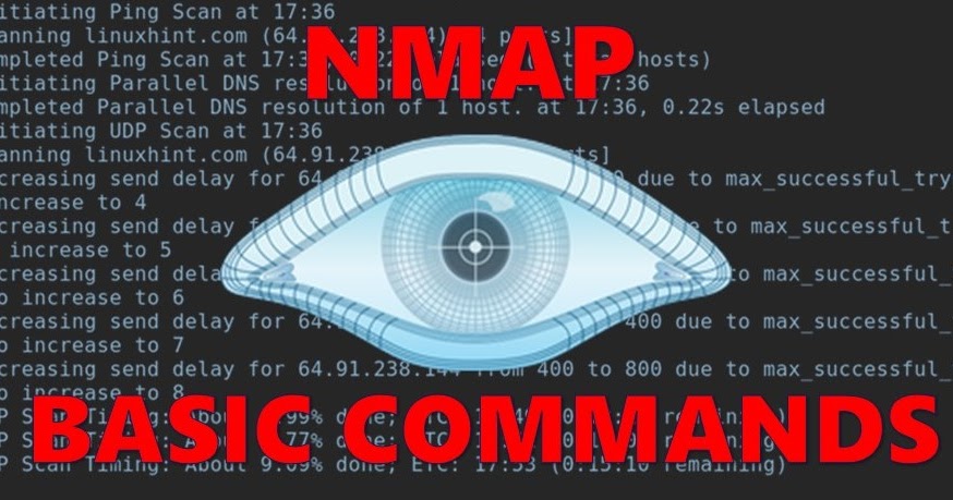 Nmap - Working and Basic Commands | CyberWiki - Encyclopedia of ...