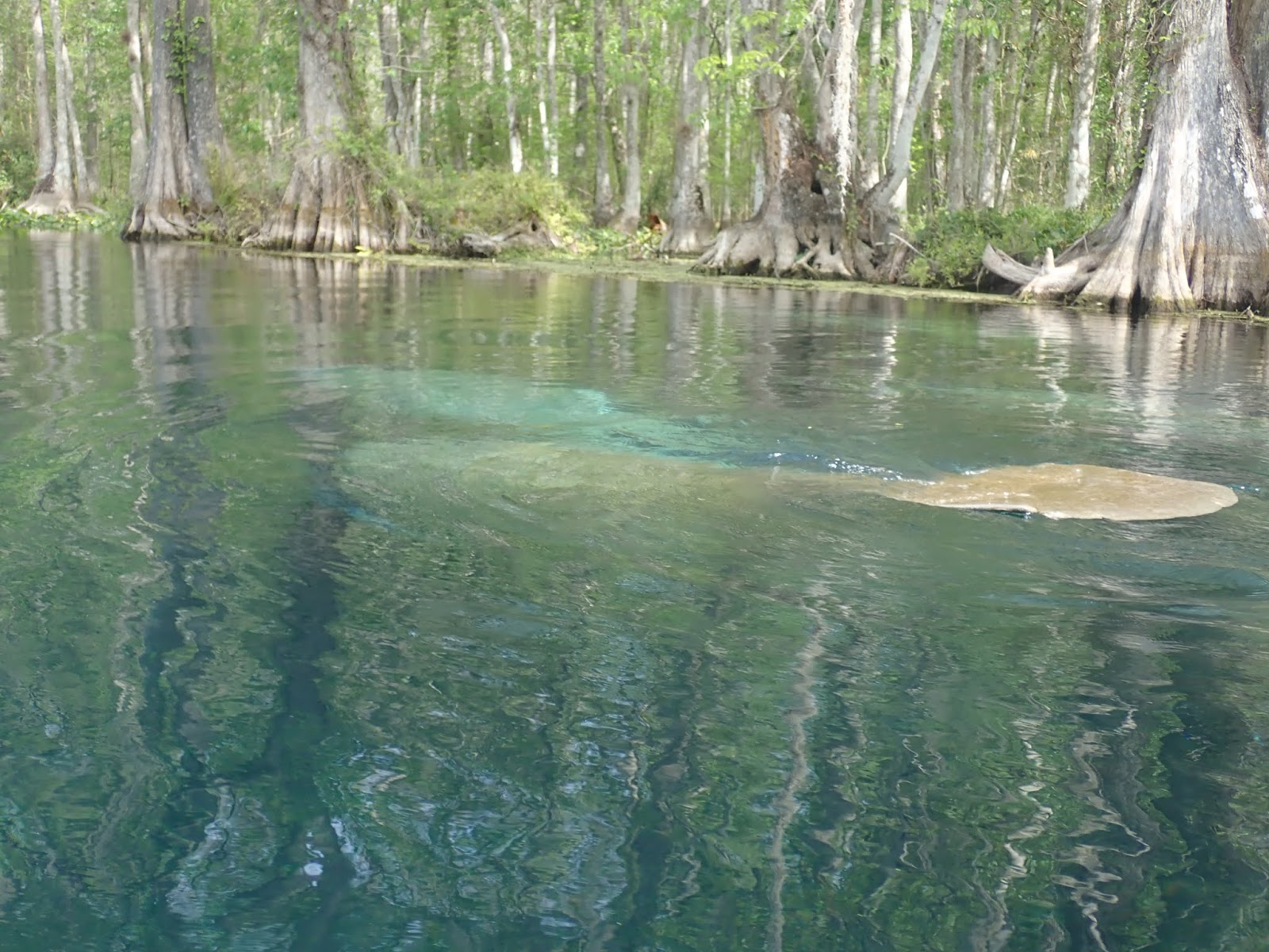 Dave's Yak Tales: SIlver River