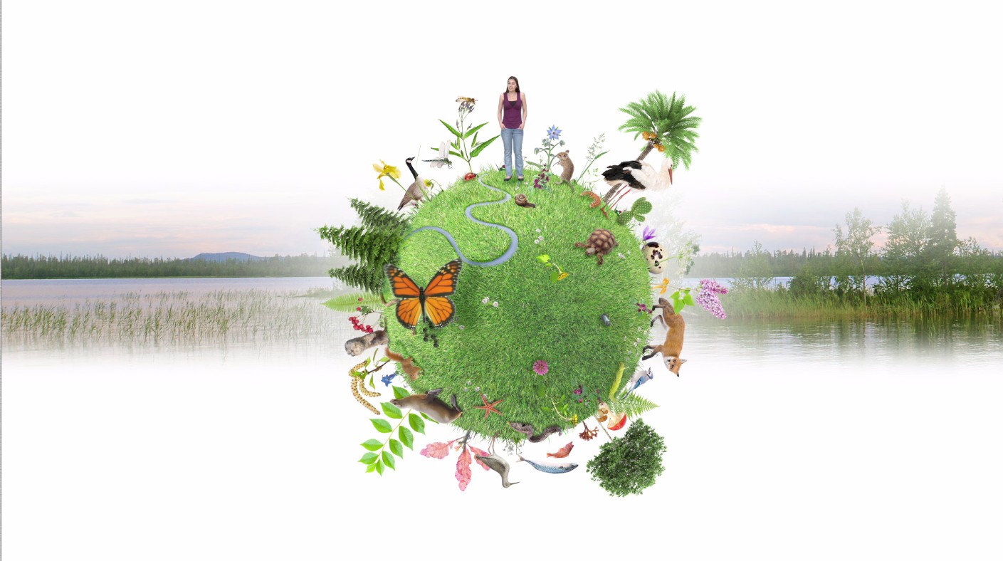 Biodiversité, alimentation et activités humaines: Qu'est-ce-que la ...