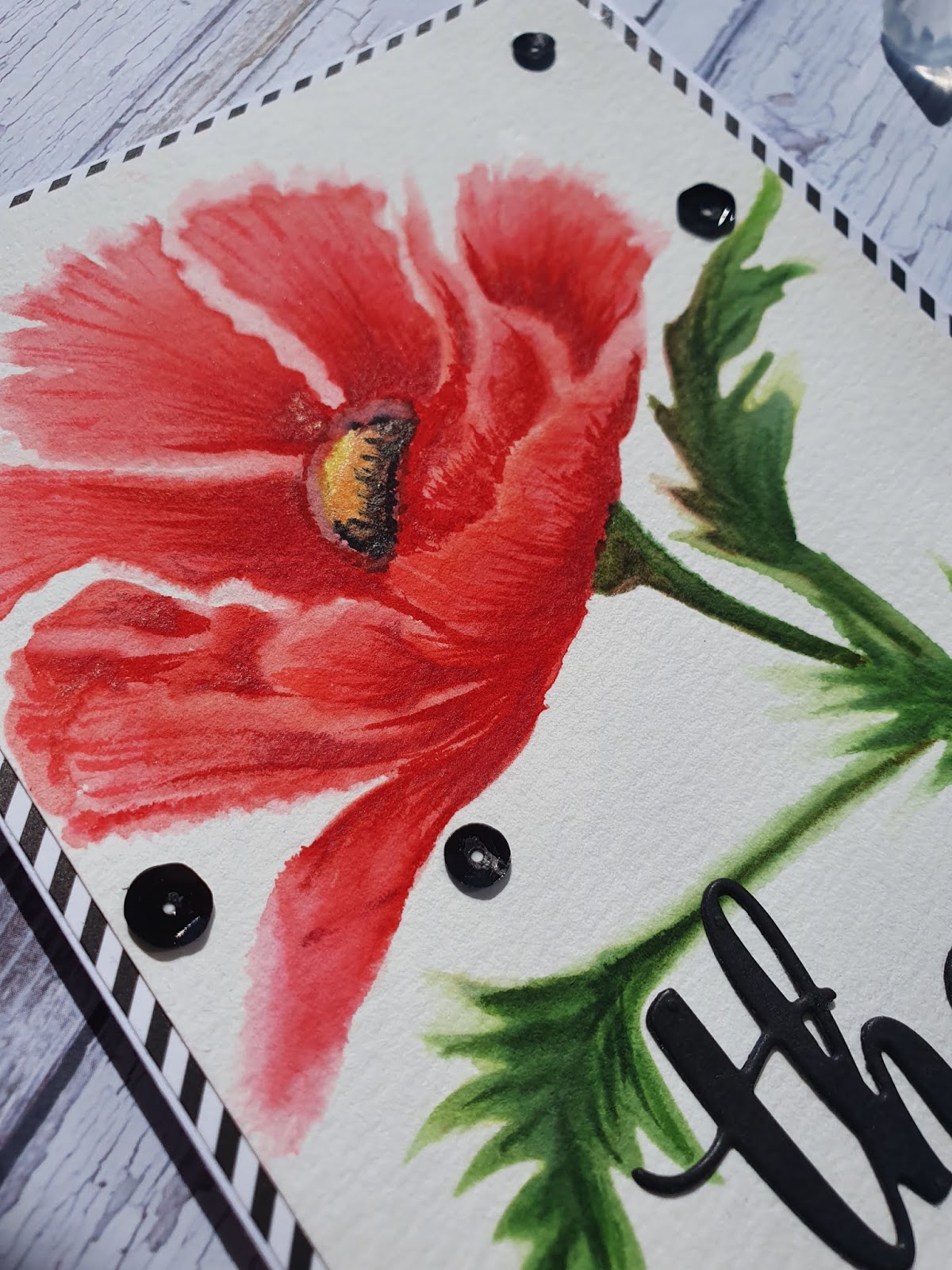 Creative Clark by Alli C