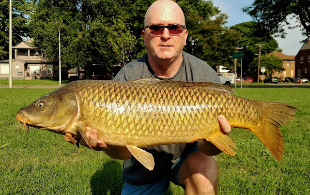 Michigan Carp Fishing Blog: carp fishing