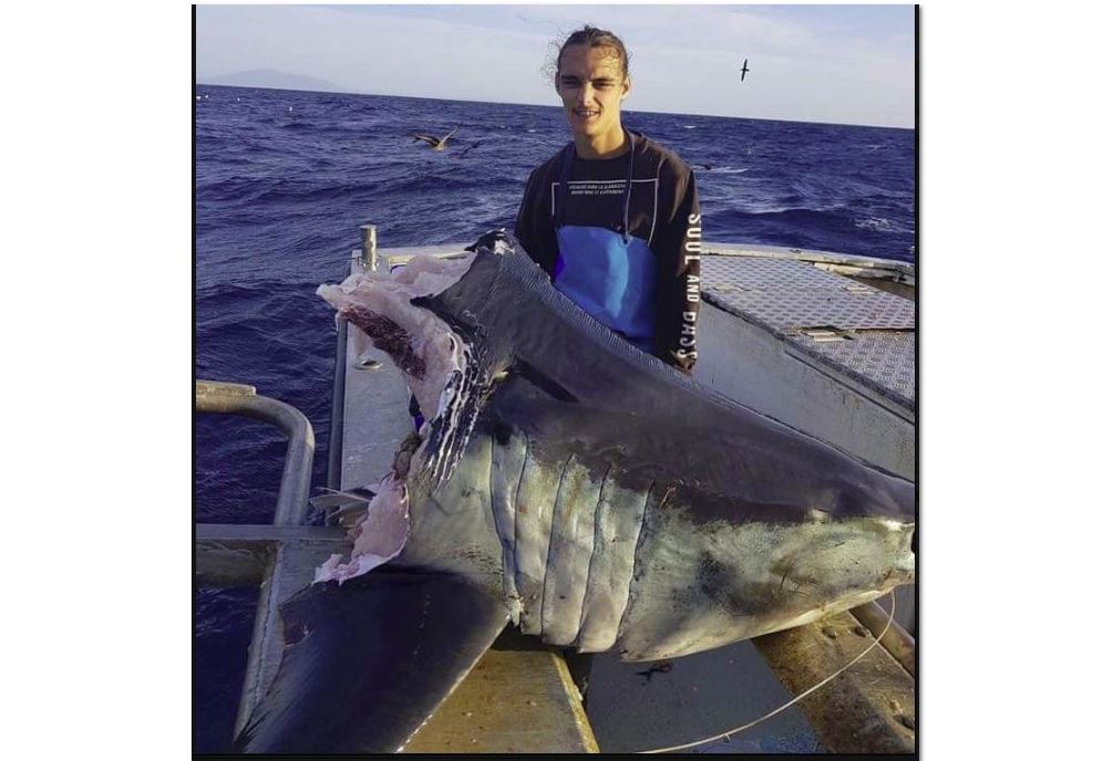 RMSO Bigfoot: Sea Monster Hunts Giant Mako