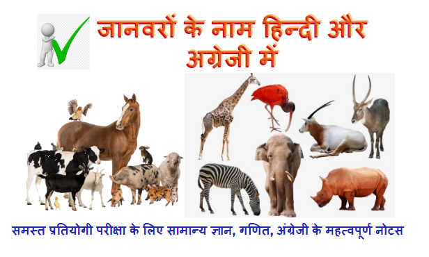 Animals Name In Hindi And animals-name-in-hindi-and