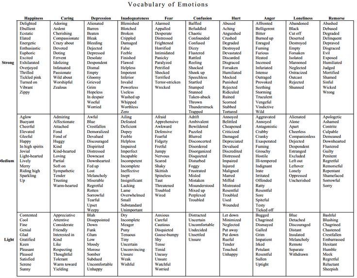 TIMBERWOLF PHOTOGRAPHY EMOTIONS TYPES OF INTELLIGENCE timberwolf-photography-emotions-types-of-intelligence