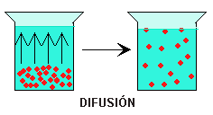 Ósmosis y difusión facilitada: Ósmosis y difusión facilitada