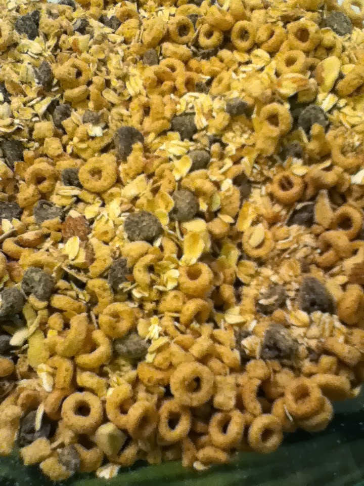 Gingerlocks' Kitchen