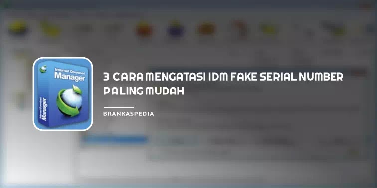 3 Cara Mengatasi IDM Fake Serial Number Paling Mudah - Brankaspedia ...