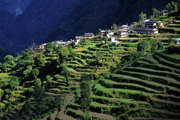 Himalayan Ecosystems