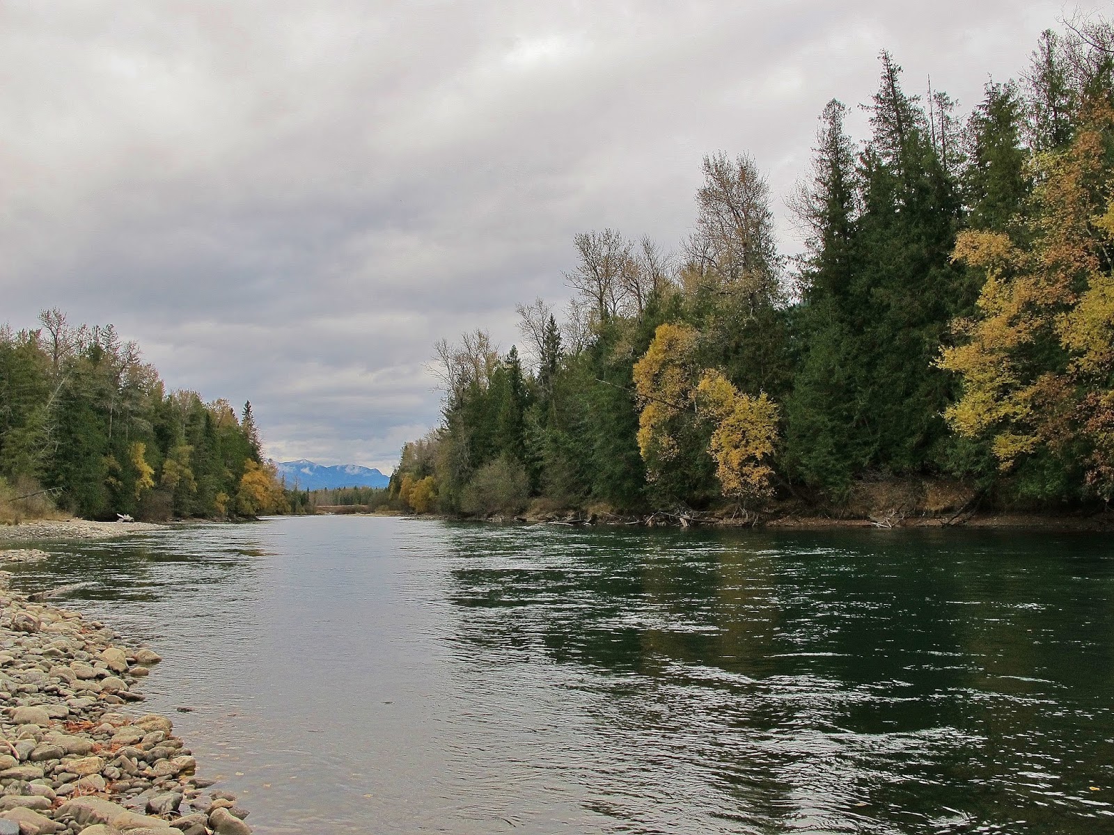 SOFT~HACKLE JOURNAL: Soft~Hackle Journal November / December