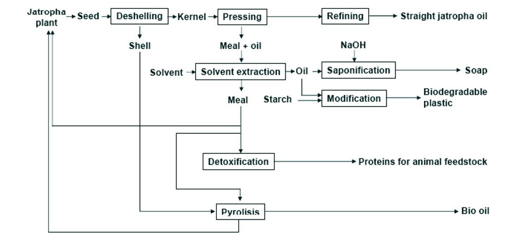 Process flow sheets: Sustainable Integrated Jatropha seed processing ...
