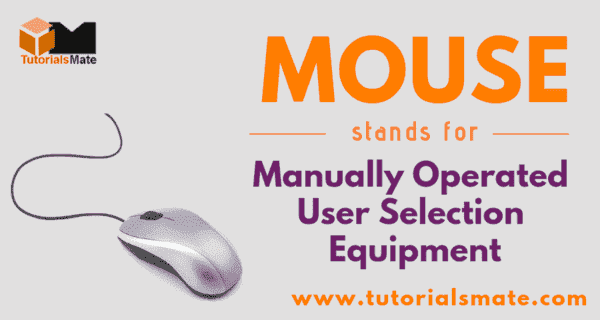 MOUSE Full Form: What does MOUSE stand for? - TutorialsMate