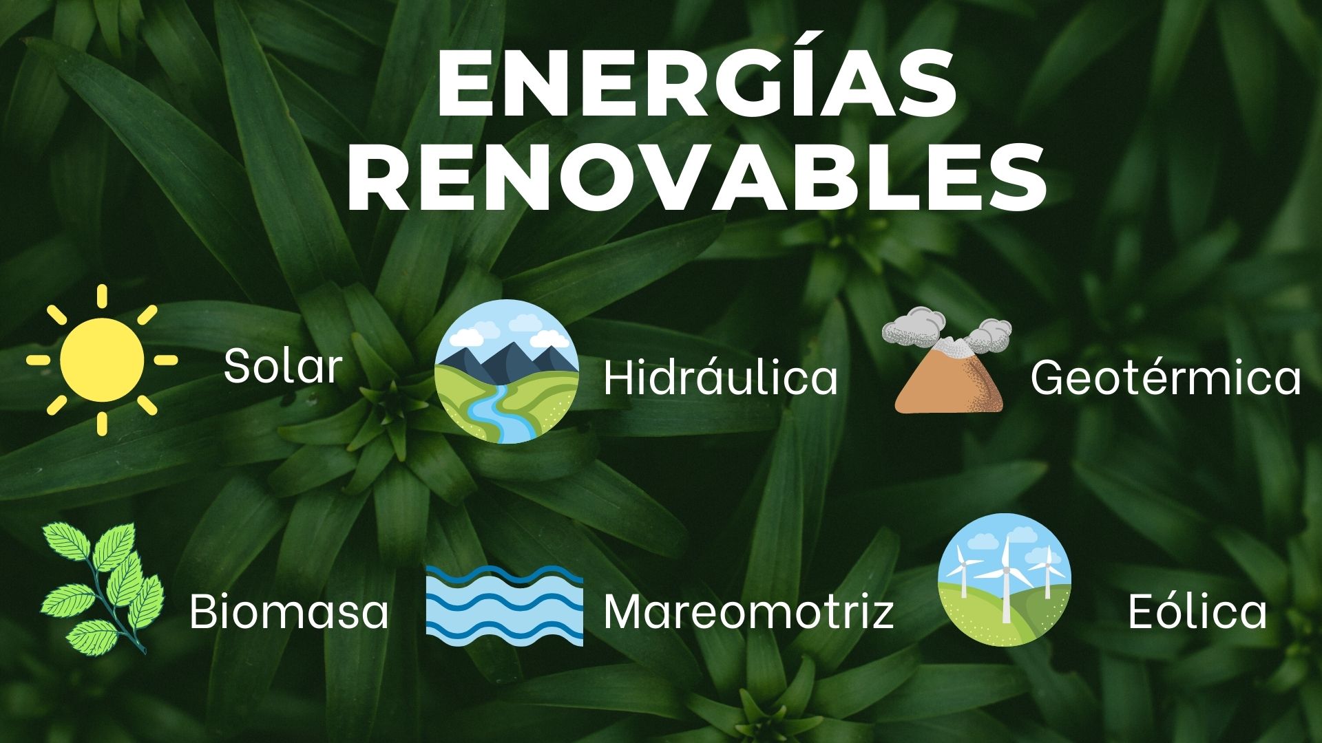 Energías renovables y no renovables