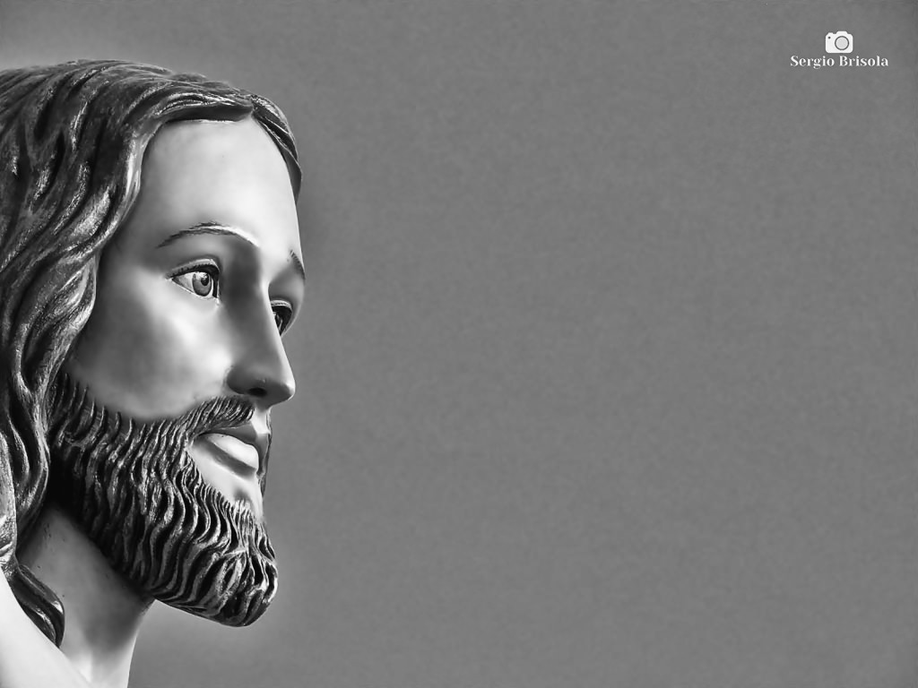 Jesus profile - Sergio Brisola Portfolio