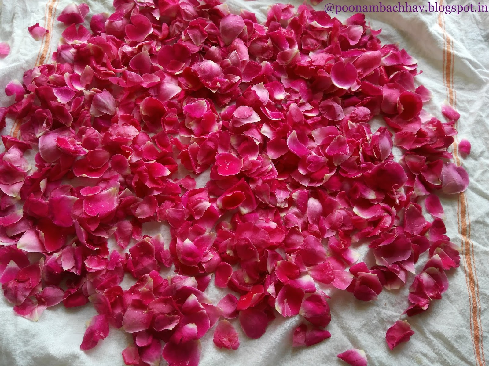 Annapurna Homemade Gulkand Rose Petal Preserve Recipe annapurna-homemade-gulkand-rose-petal-preserve-recipe