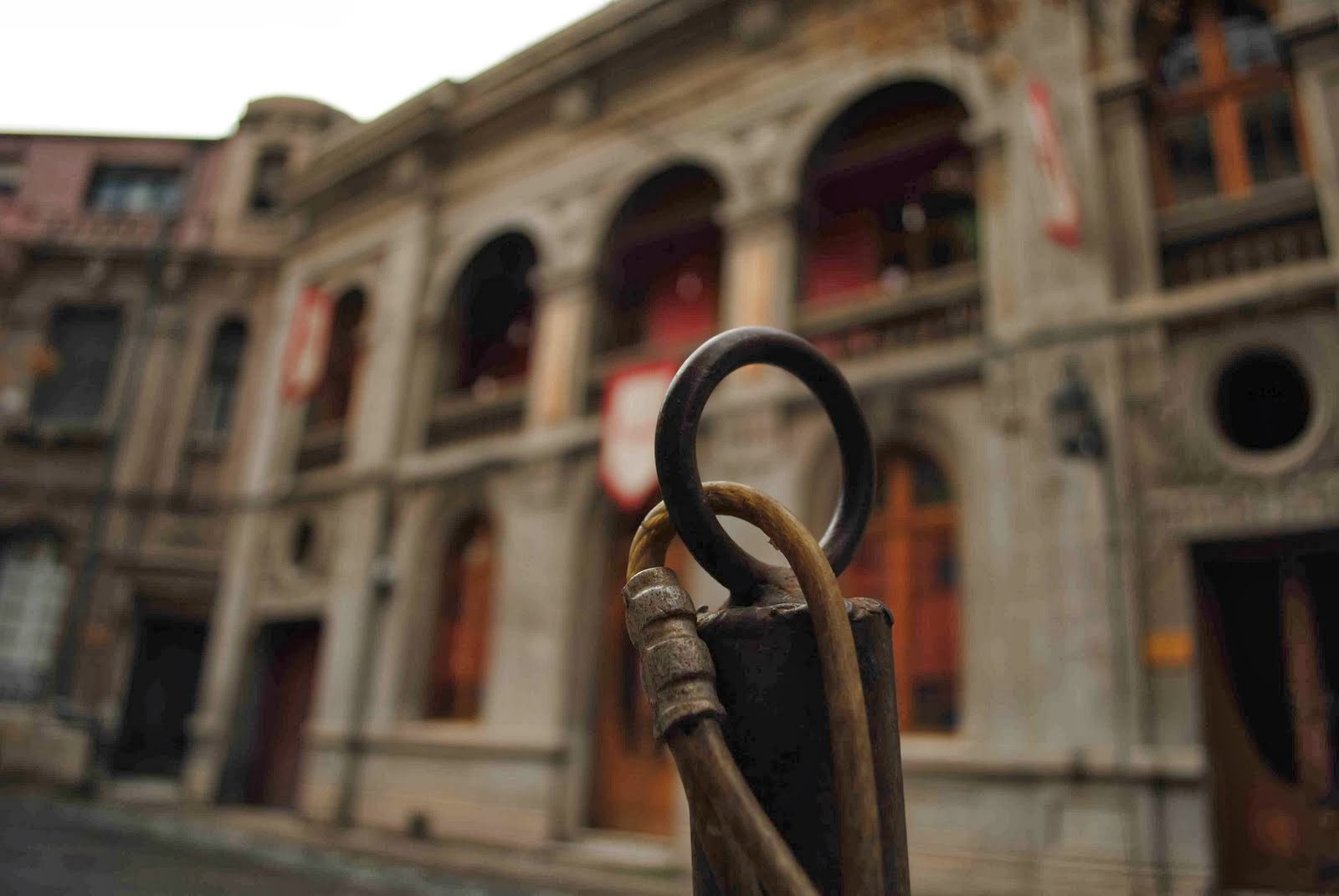 Fotografía Básica: Enfoque selectivo