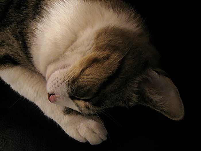 AAA ACCADEMIA AFFAMATI AFFANNATI: Frullato di banana, cacao, caffè. Con ...