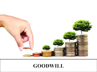 Goodwill Definition | Goodwill Meaning | Factors Influencing Goodwill