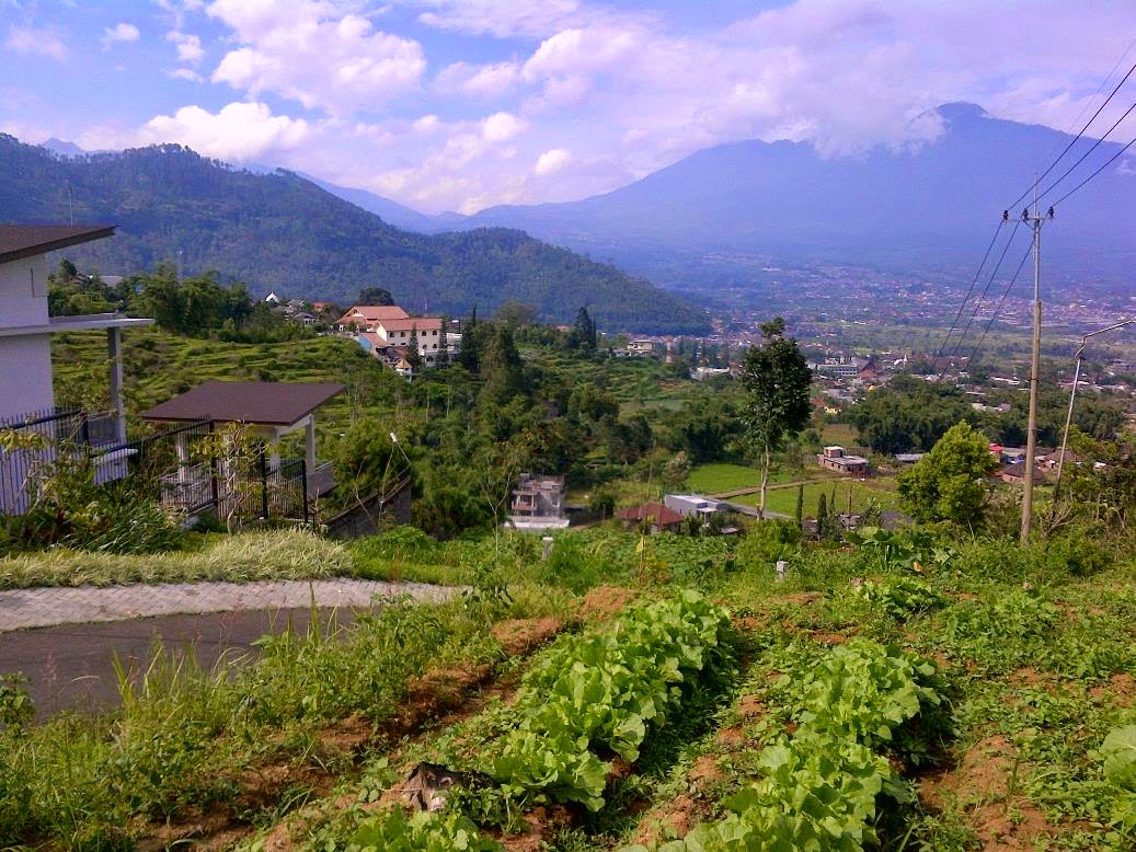 tanah di kota batu: Tanah view pegunungan bagus di kota batu
